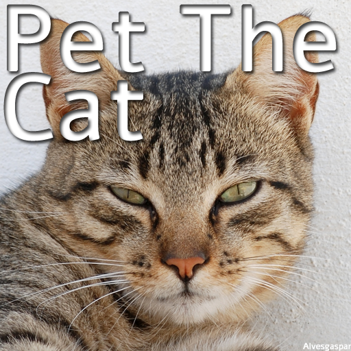 Pet Cat – The 15 best products compared - Wild Explained