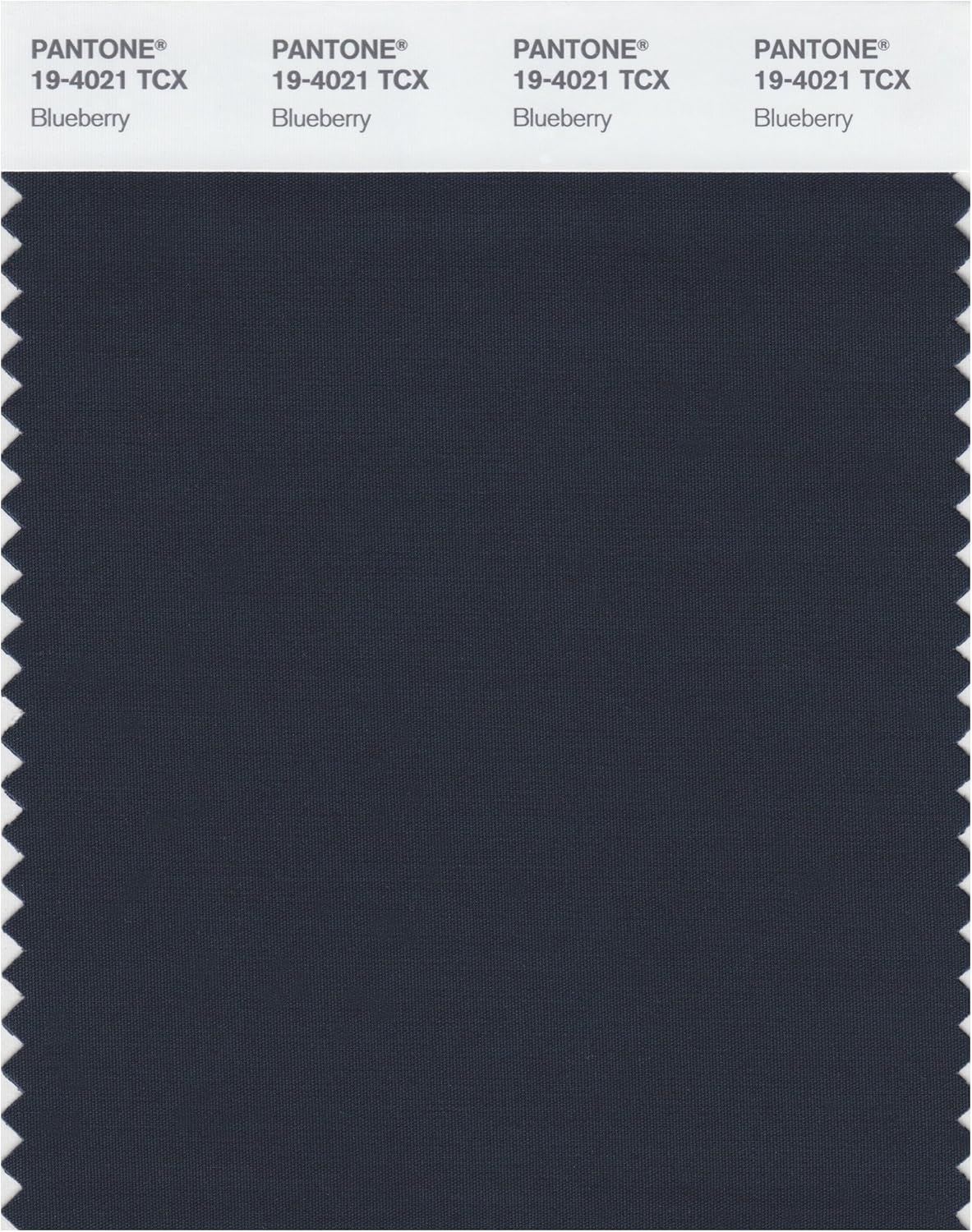 Pantone 19-4021 TCX Smart Color Swatch Card, Blueberry - House Paint ...