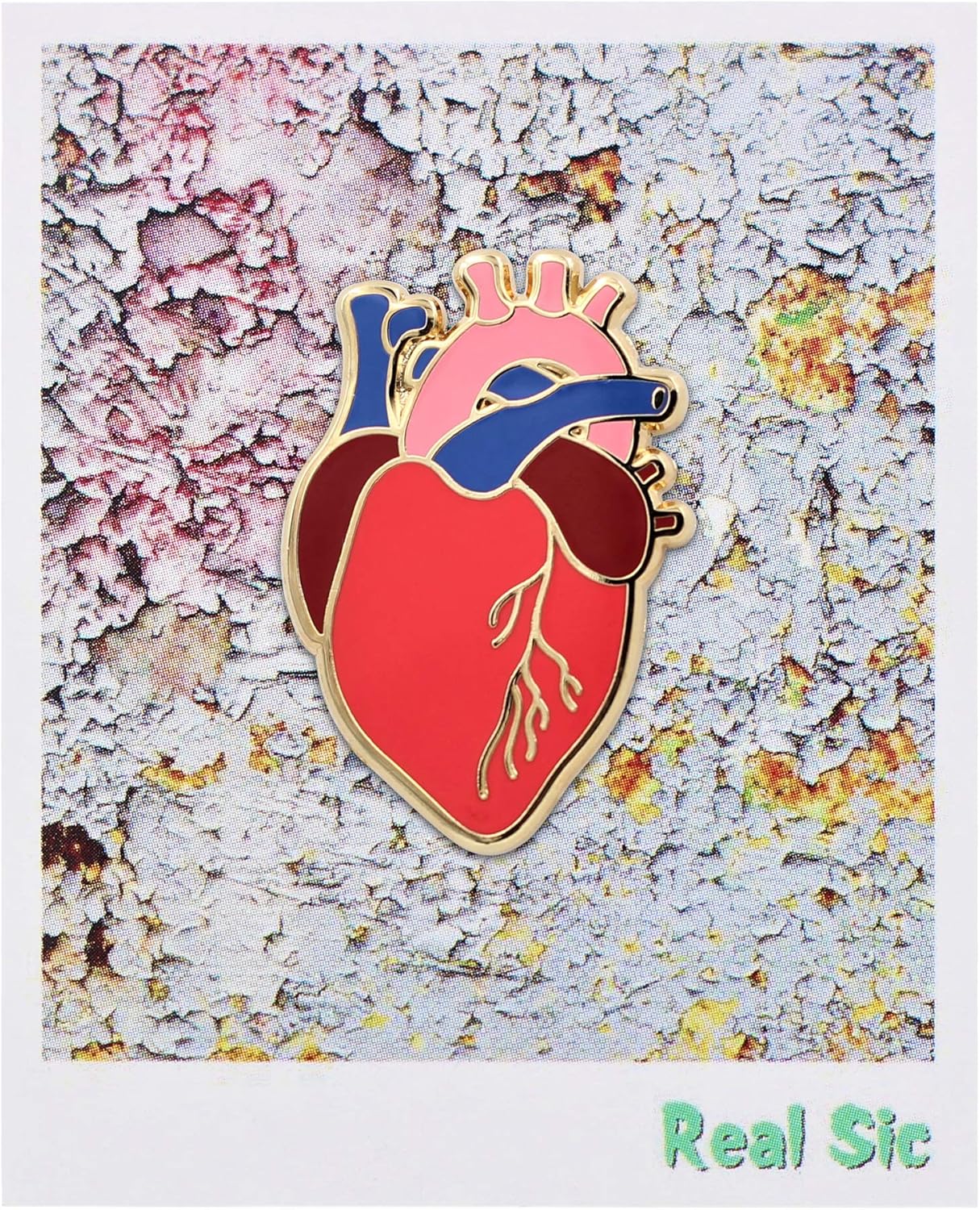 Amazon.com: REAL SIC Anatomical Heart Pin - Realistic, Scientific Heart ...