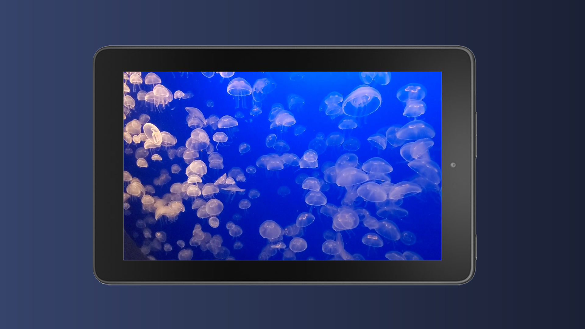 Aquatic Jellyfish for Fire TV - App on the Amazon Appstore