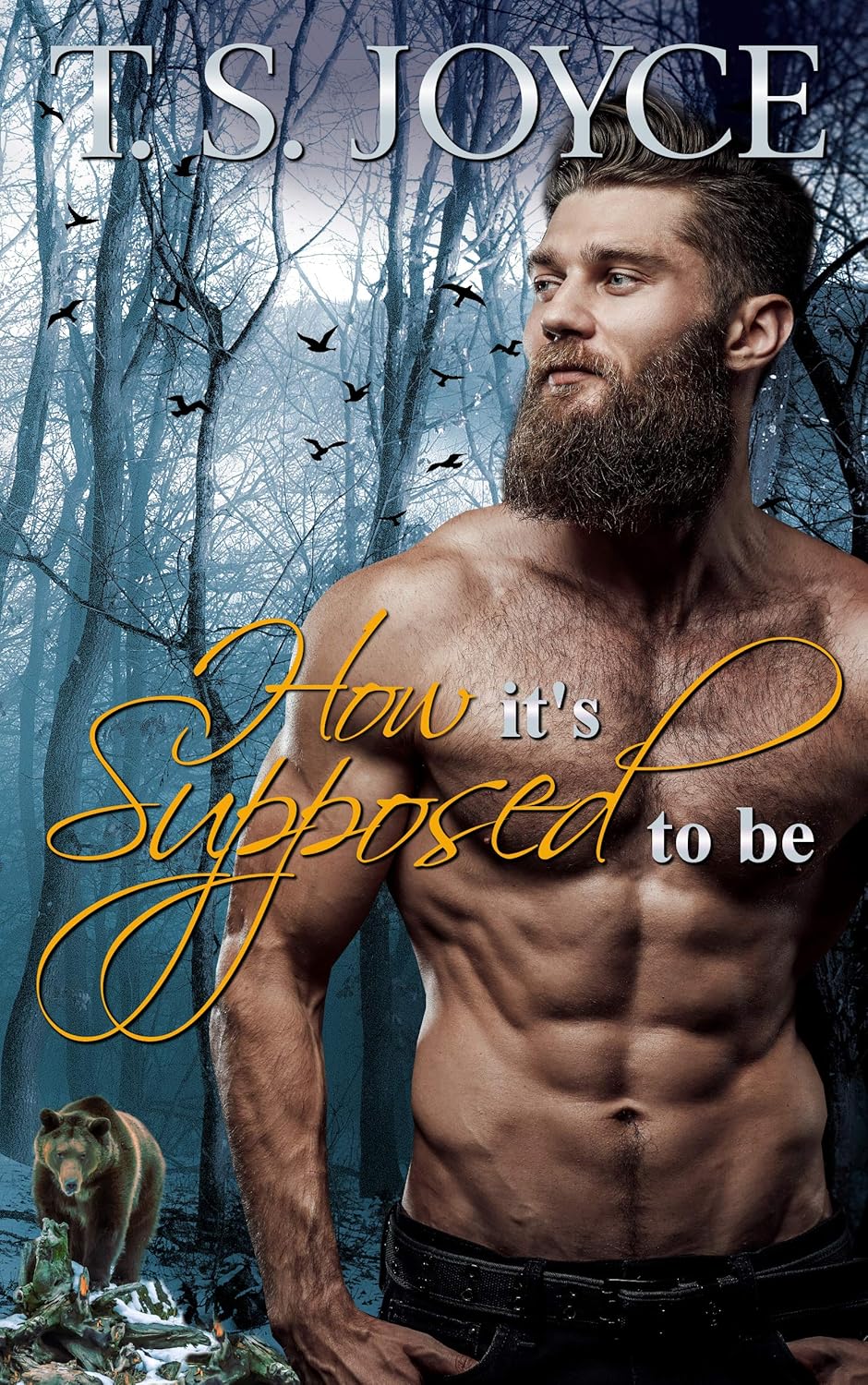 How It's Supposed to Be (Oath of Bane Book 1) eBook : Joyce, T. S ...