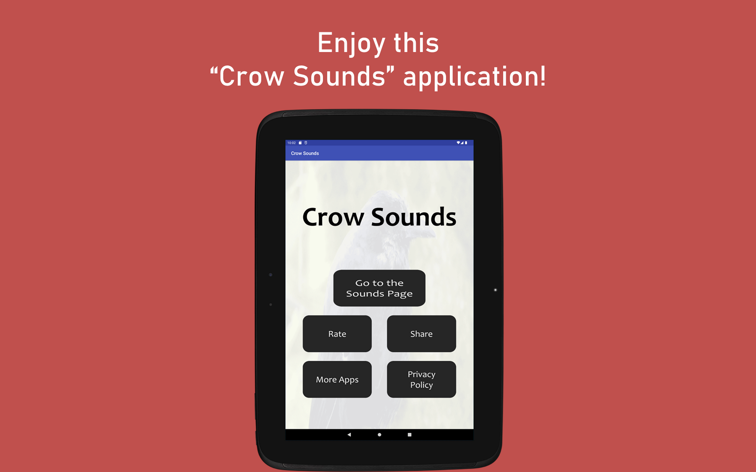 Crow Sounds:Amazon.com:Appstore for Android