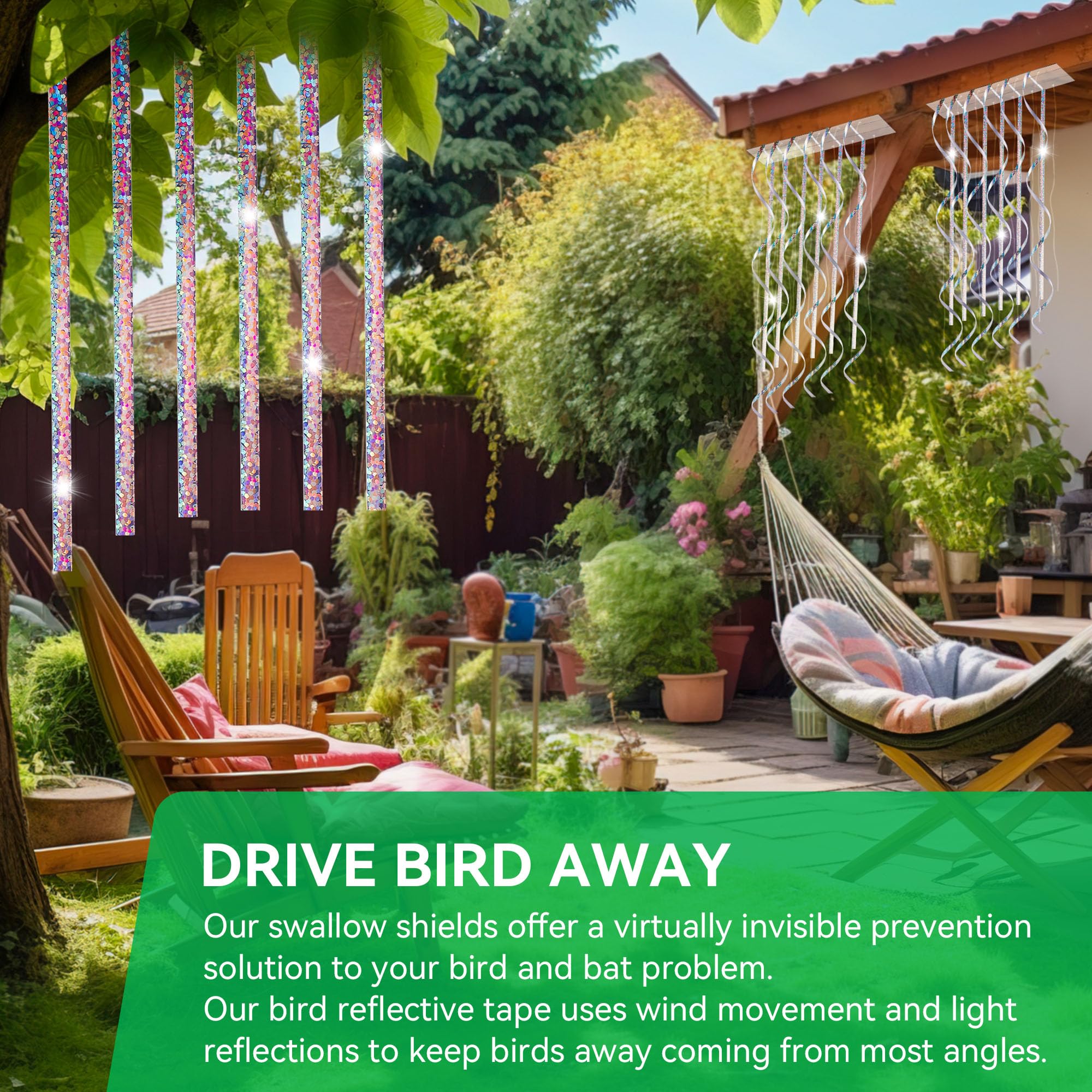 Snapklik.com : Qualirey 2 Pcs Swallow Shield Transparent 3"x11", Bird ...