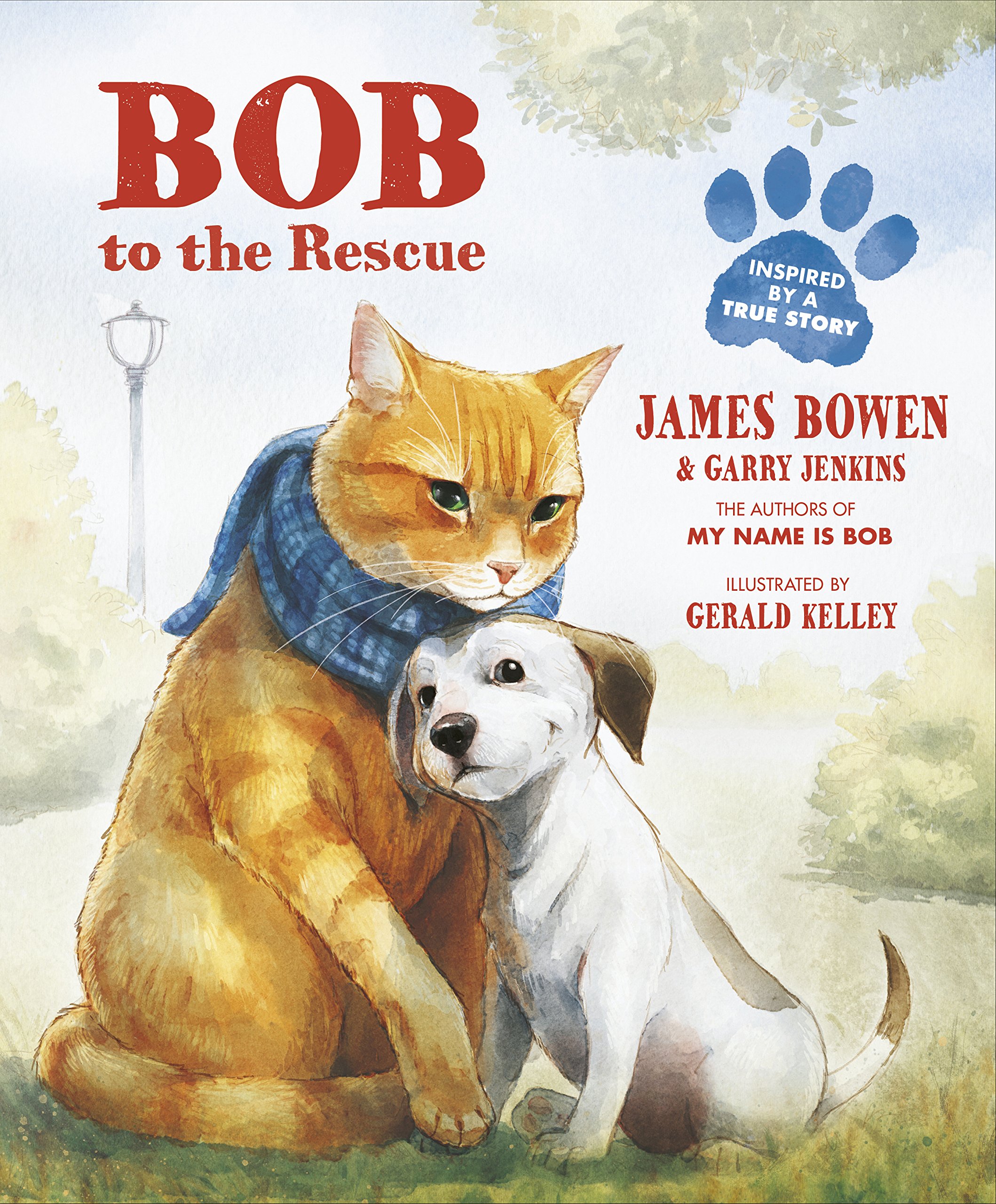 Amazon.com: Bob to the Rescue: An Illustrated Picture Book ...