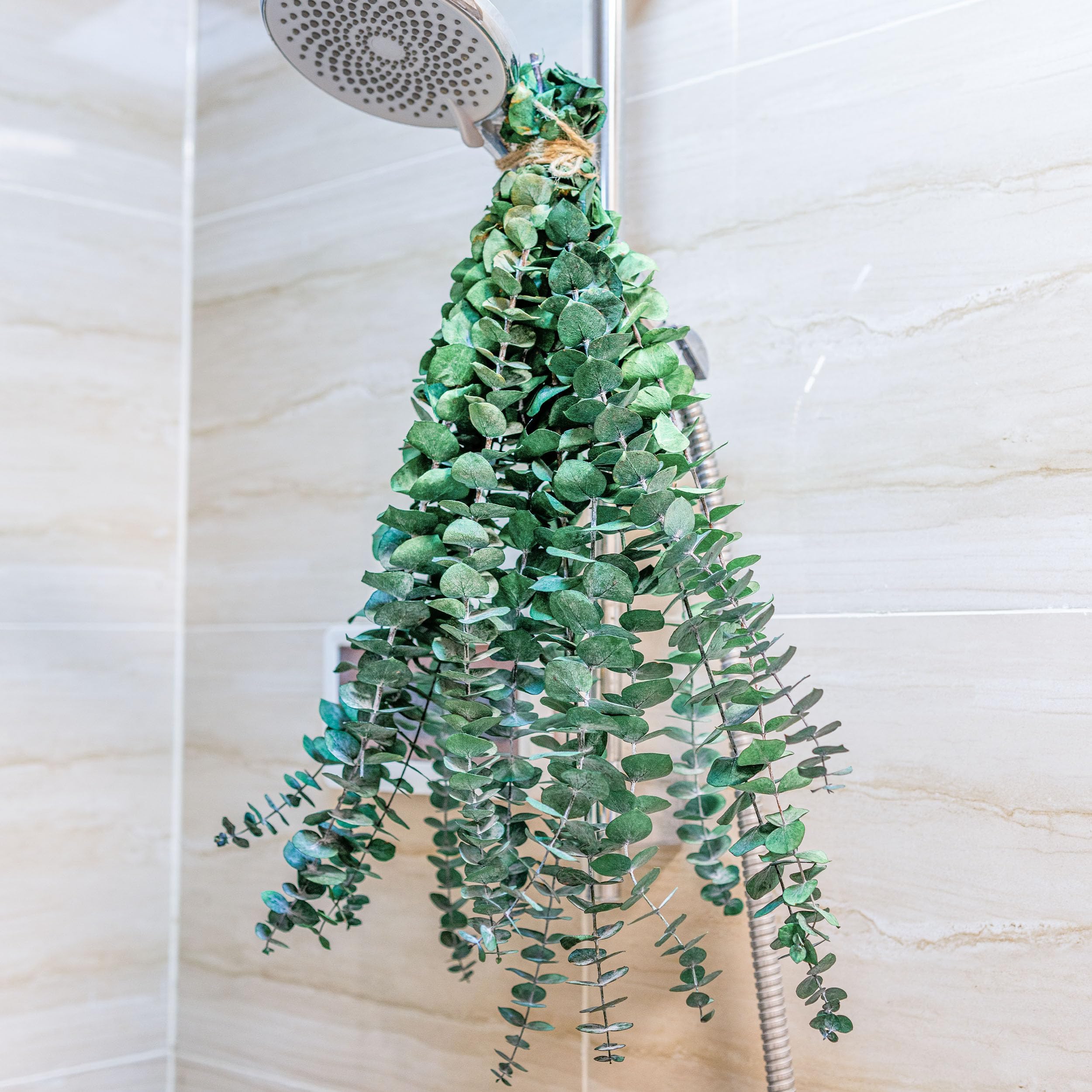 Amazon.com: NTLPAMPA 4 Kinds Eucalyptus & Lavender Flowers Bundles for ...