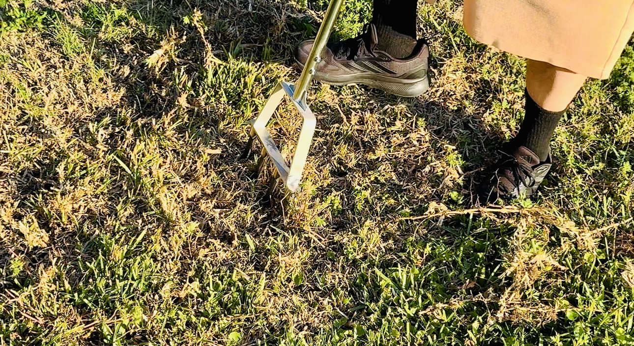 Watch Coring Grass Aerator Lawn Tool 4 Hollow Tines #ad on Amazon Live