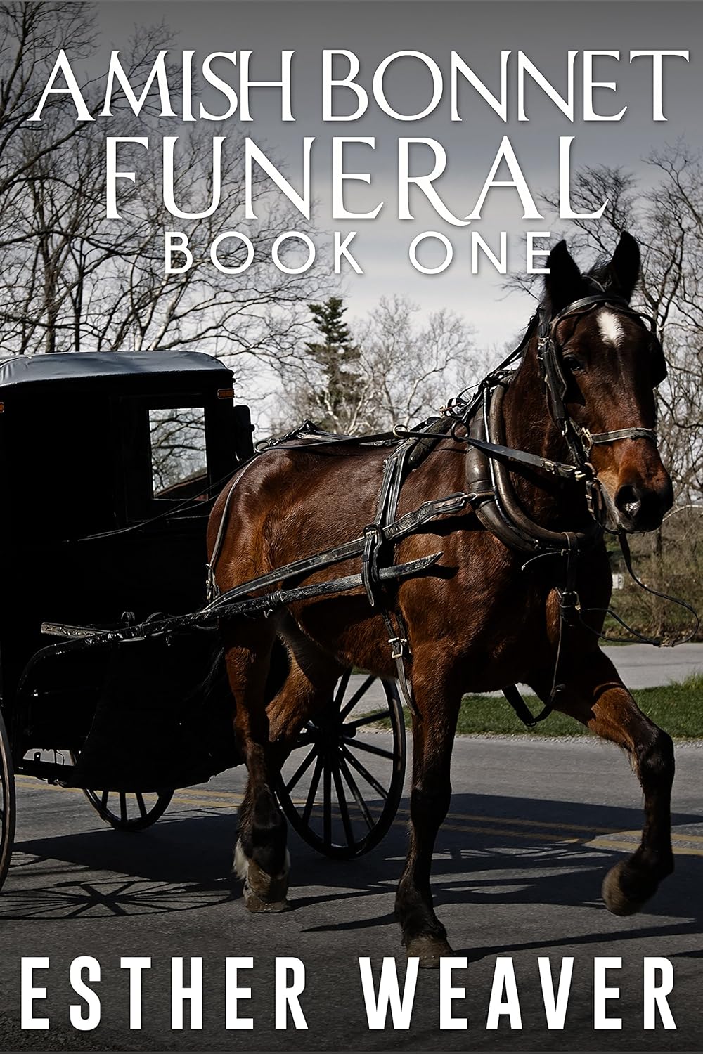 Amazon.com: Amish Bonnet Funeral (Amish Romance) eBook : Weaver, Esther ...