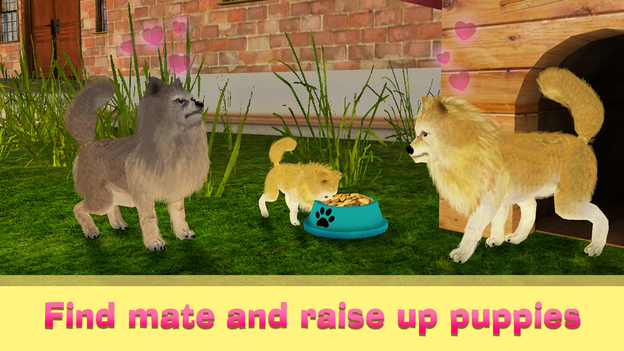 Pomeranian Dog Simulator: Lovely Pets Clan of Dogs | Ultimate Breeding ...