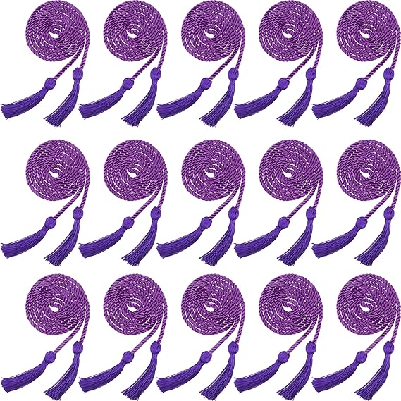 Amazon.com: Rcanedny 15 Pieces Graduation Honor Cord Braided Honor ...