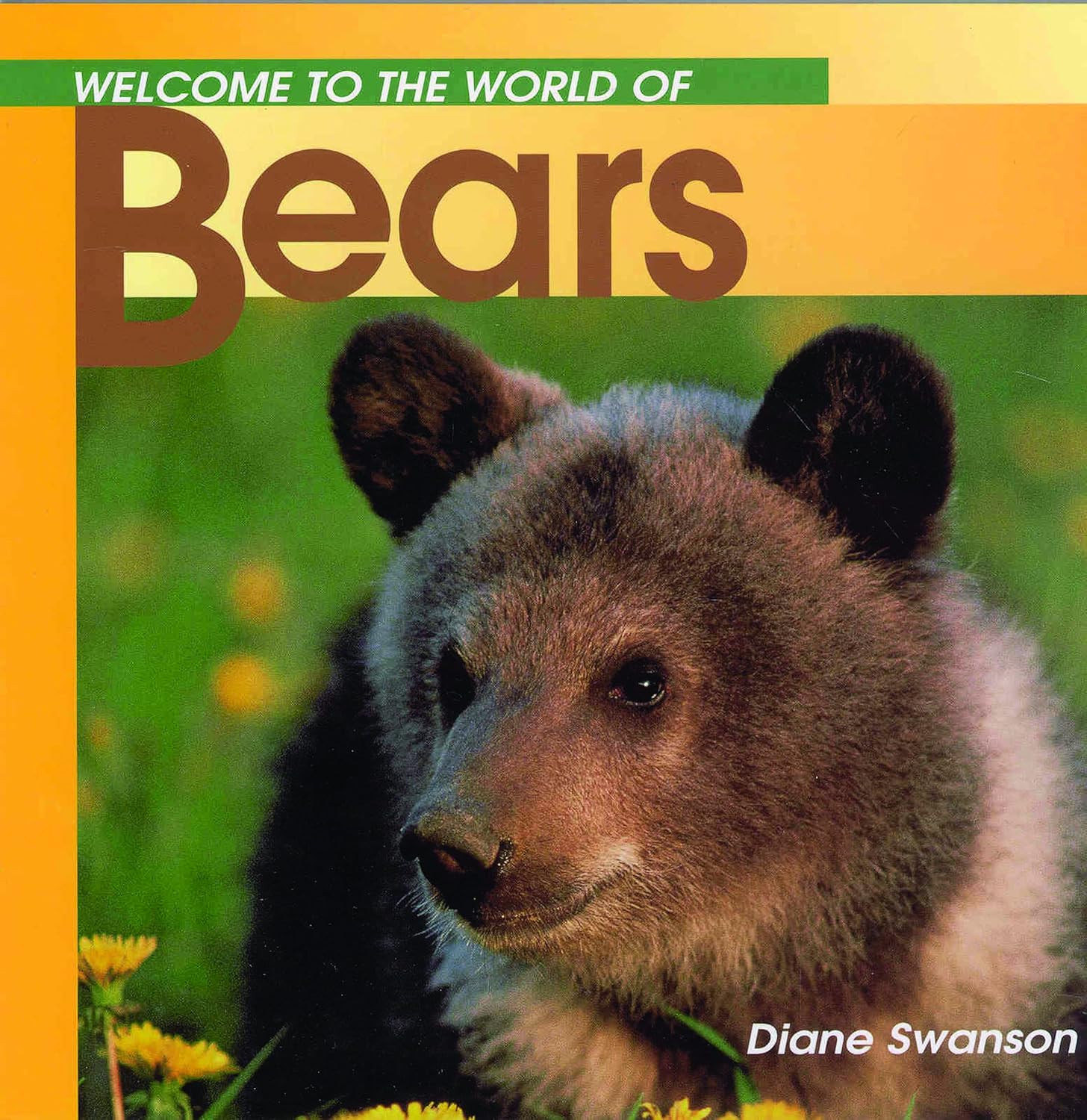 Welcome to the World of Bears (Welcome to the World Series): Swanson ...