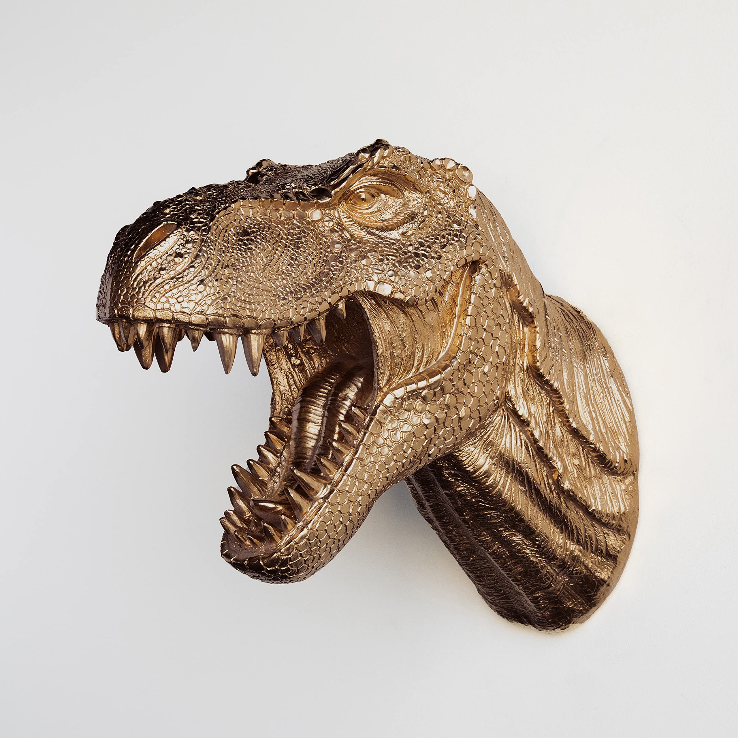 Tyrannosaurus Head