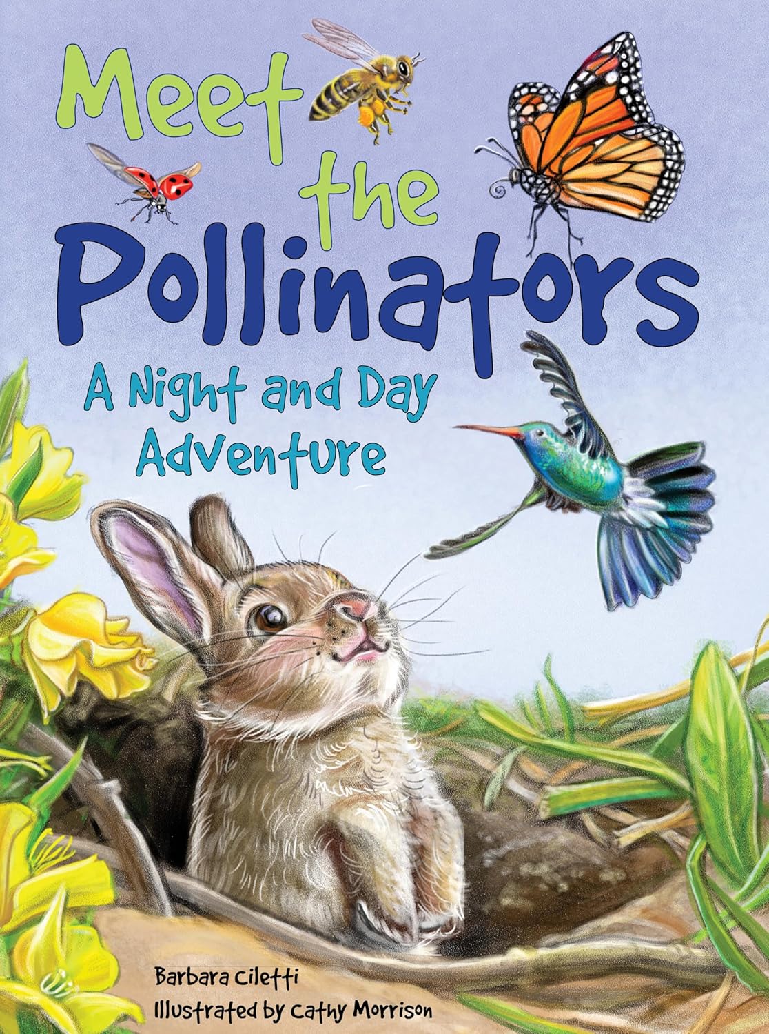 Meet the Pollinators: A Night and Day Adventure: Ciletti, Barbara ...