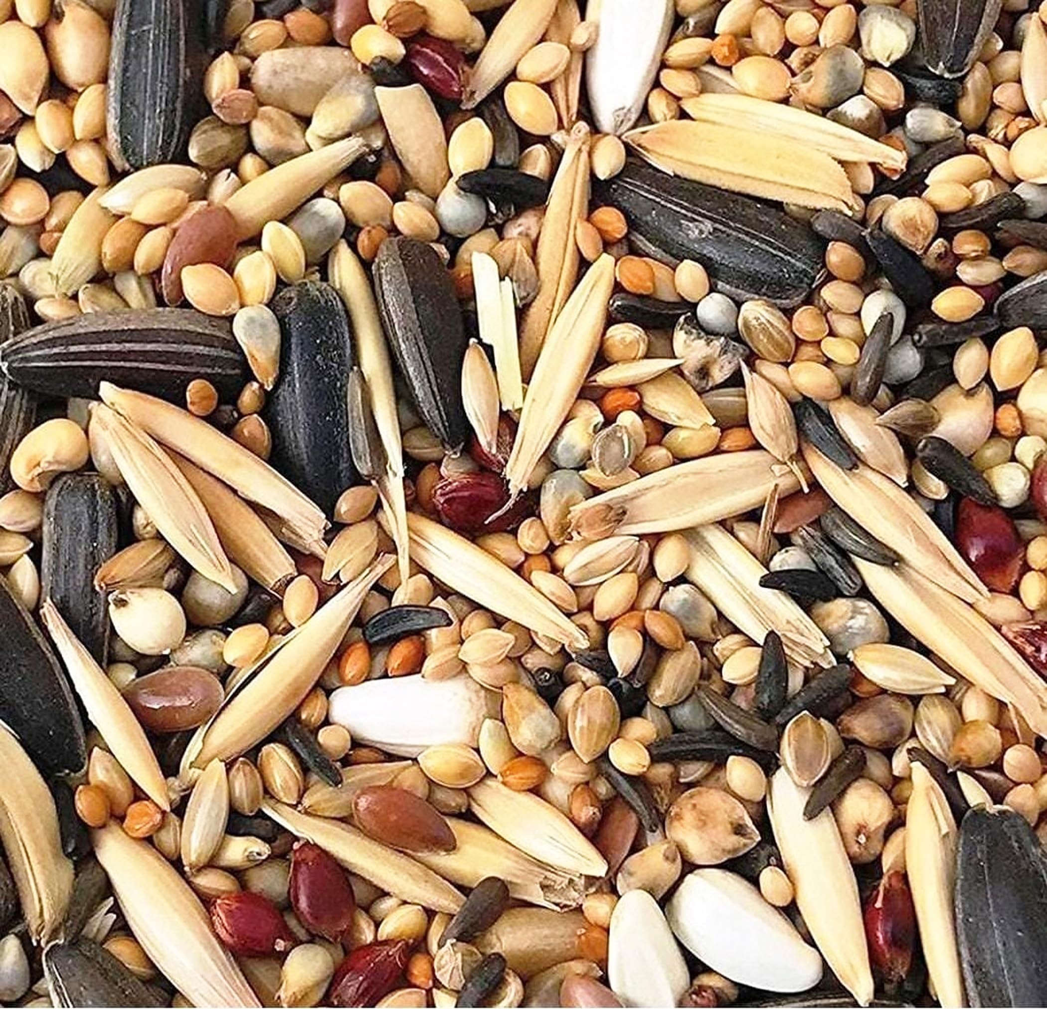 Buy R.S. Birds & Grains | Natural Multi Millet Nutrient Bird Feeder Mix ...