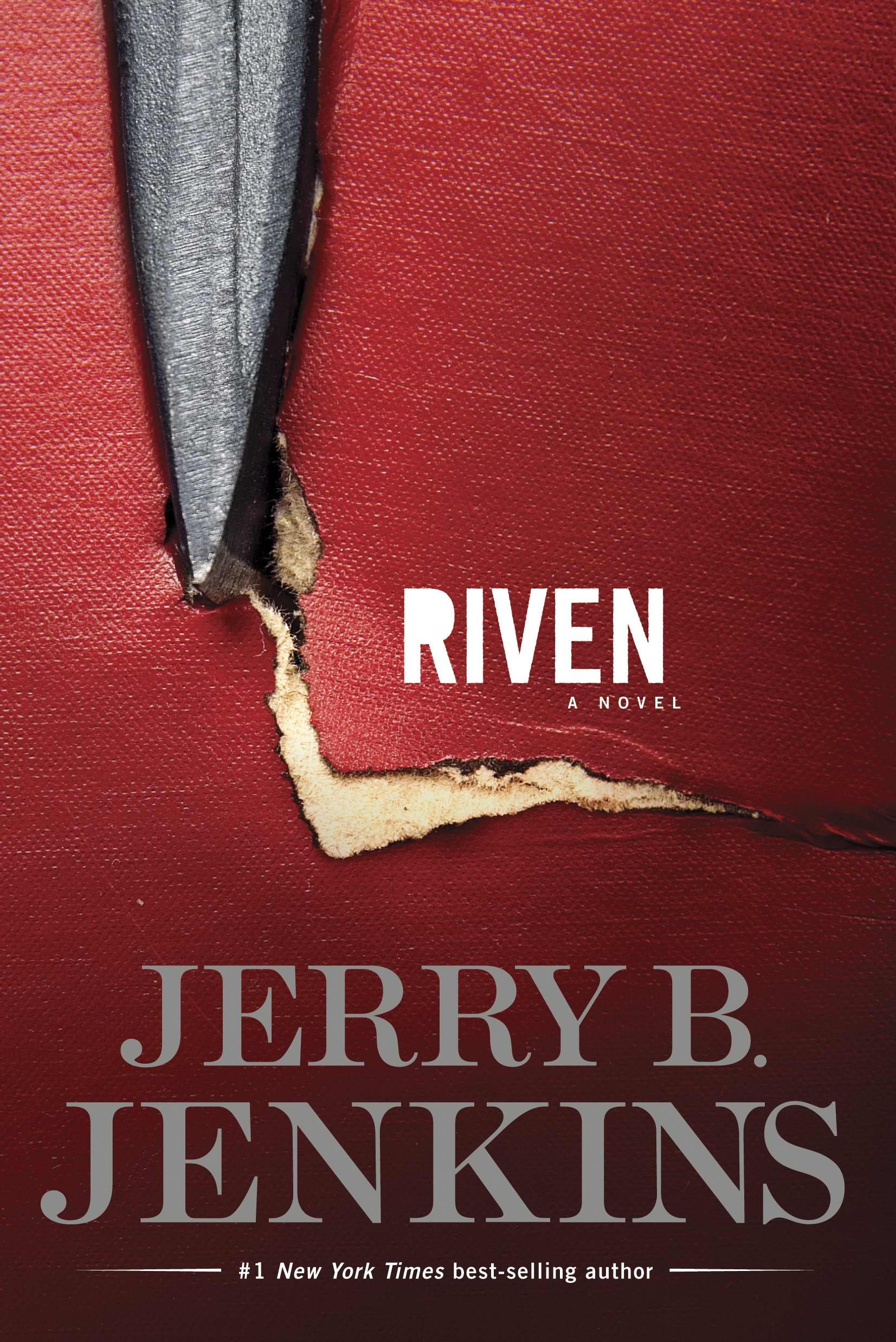 Riven: Jenkins, Jerry B.: 9781414309194: Amazon.com: Books