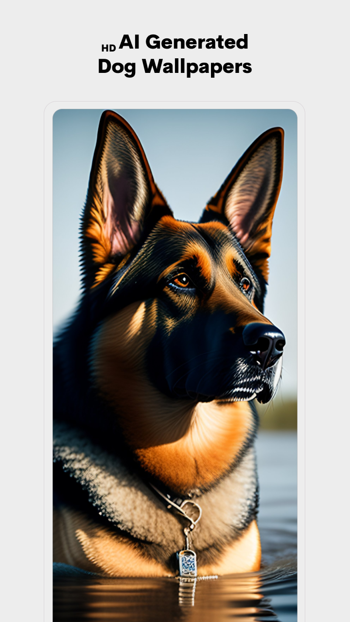 Dog Wallpapers - App on Amazon Appstore