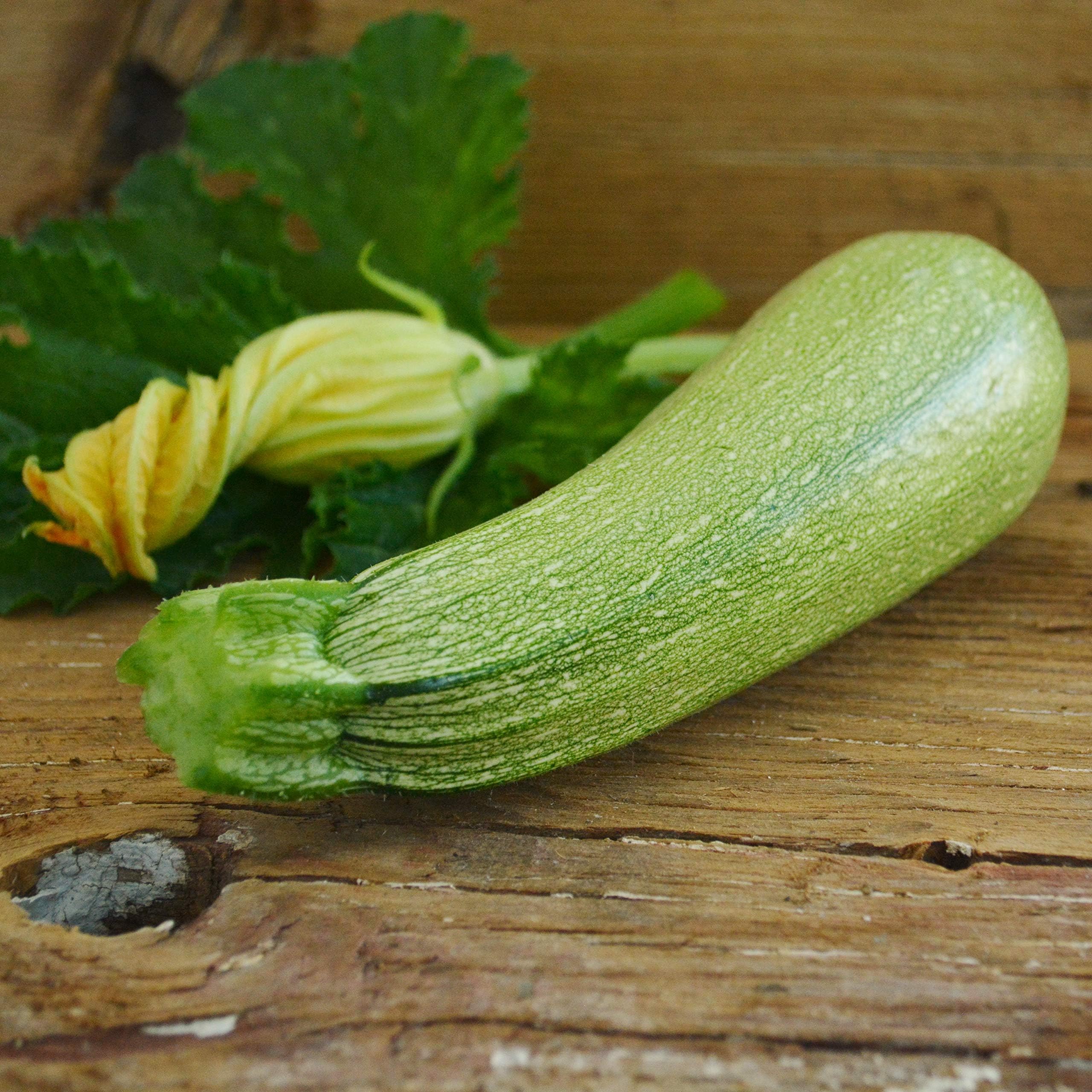 Amazon.com : Birdhouse Gourd - 25 Seeds - Heirloom & Open-Pollinated ...