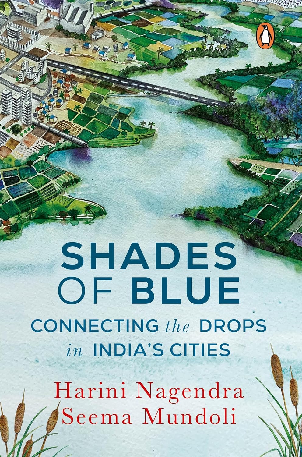 Buy Shades of Blue: Connecting the Drops in India's Cities Book Online at Low Prices in India ...