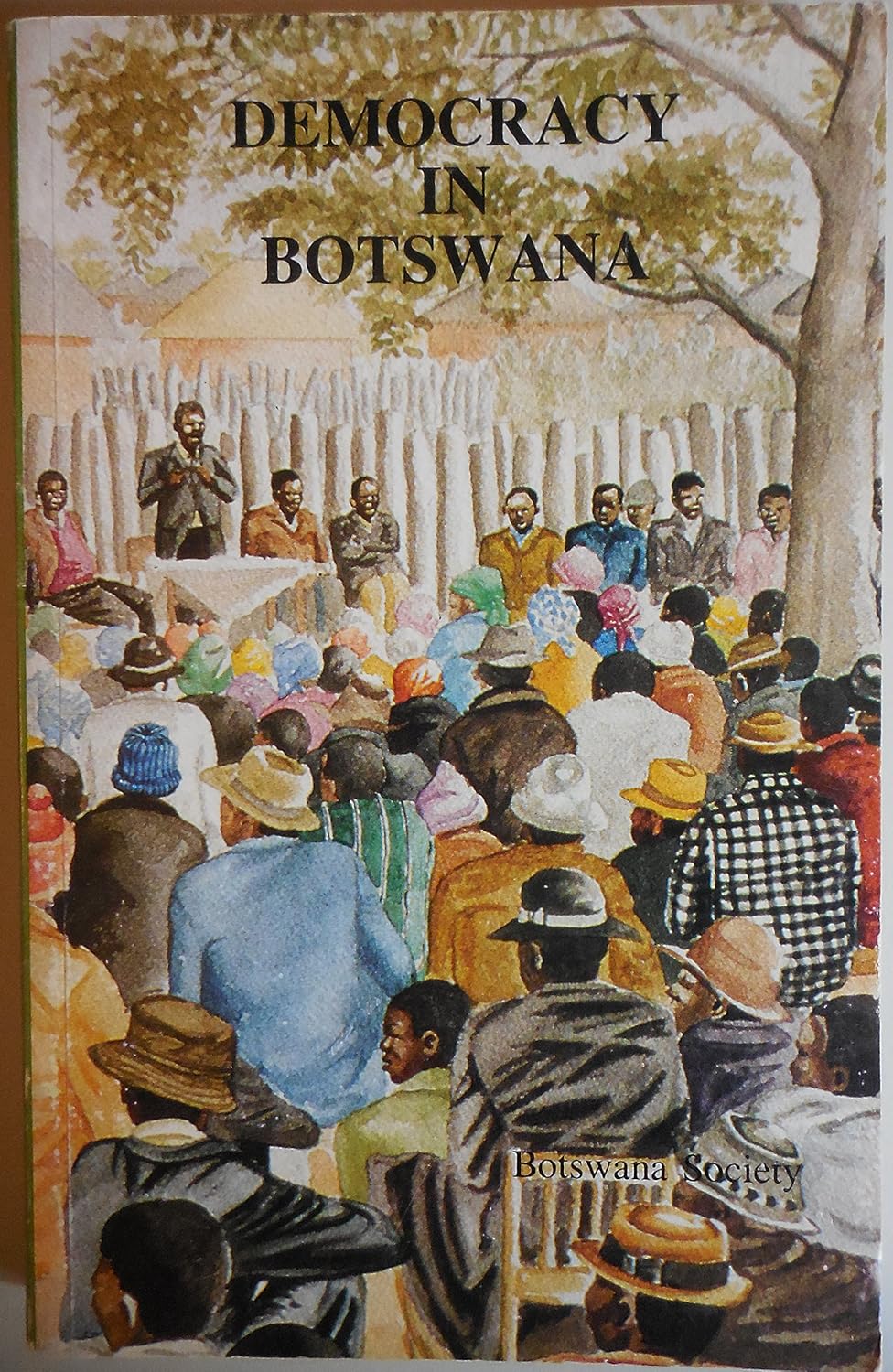 Democracy In Botswana: Holm, John D., Molutsi, Patrick P ...