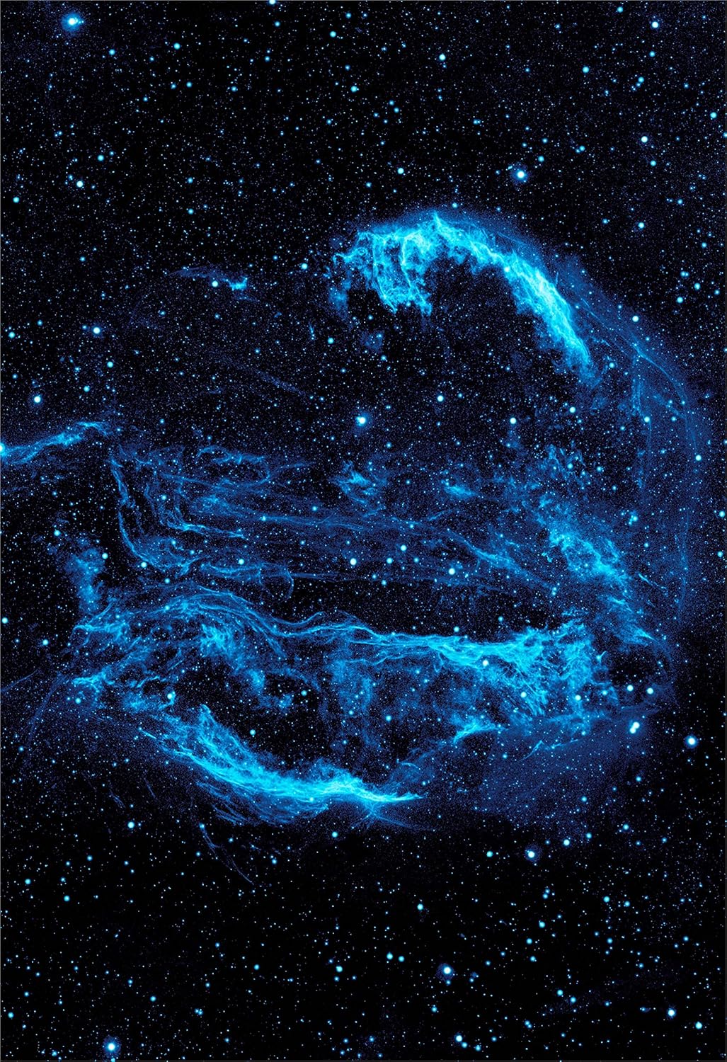 Amazon.com: New Horizon Aviation, LLC NASA Cygnus Loop Nebula Space Hi ...