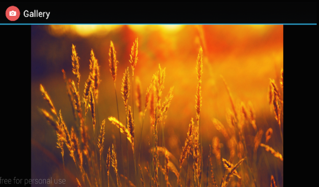 Snap 'N' Save - App on Amazon Appstore