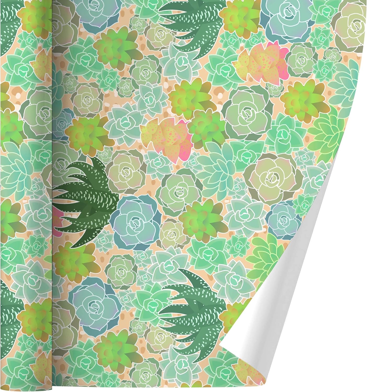 Amazon.com: GRAPHICS & MORE Succulent Cactus Aloe Plants Pattern Gift ...