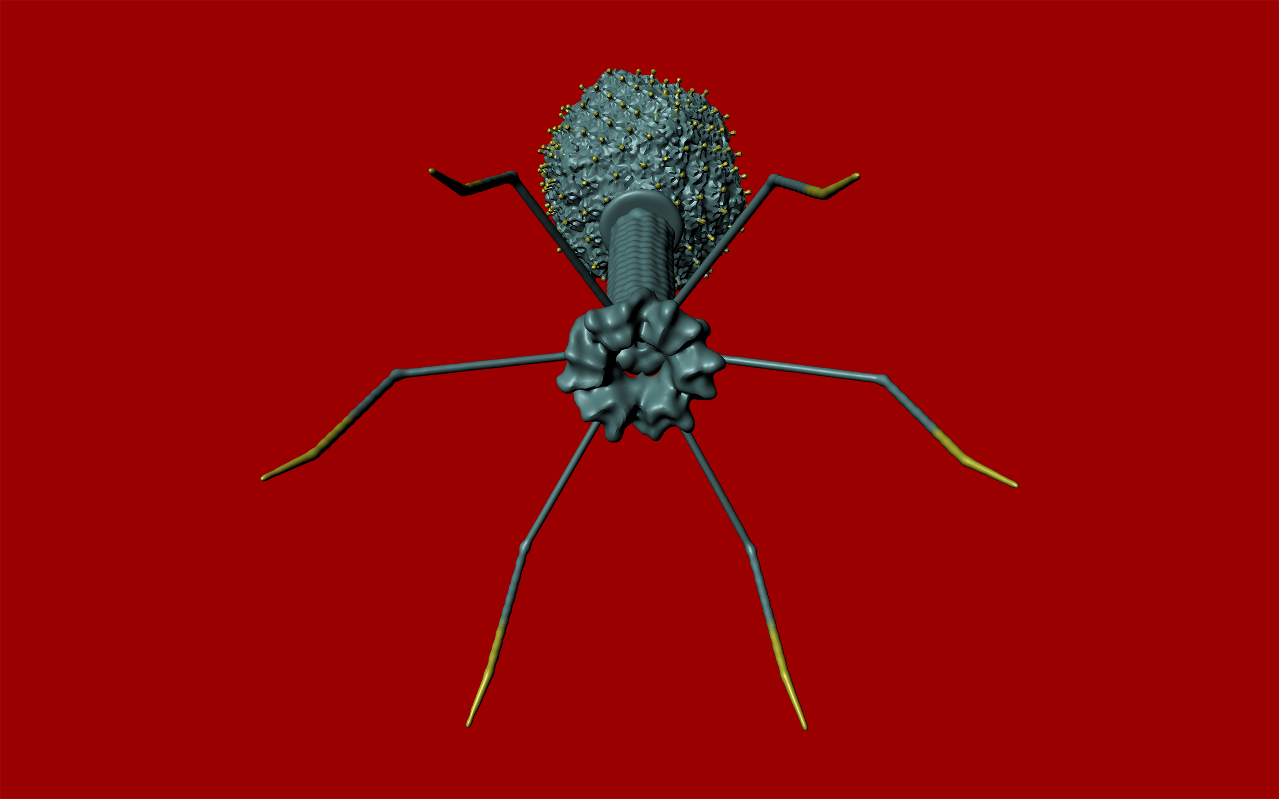 Bio Virus Structure in 3D Virtual Reality:Amazon.com:Appstore for Android