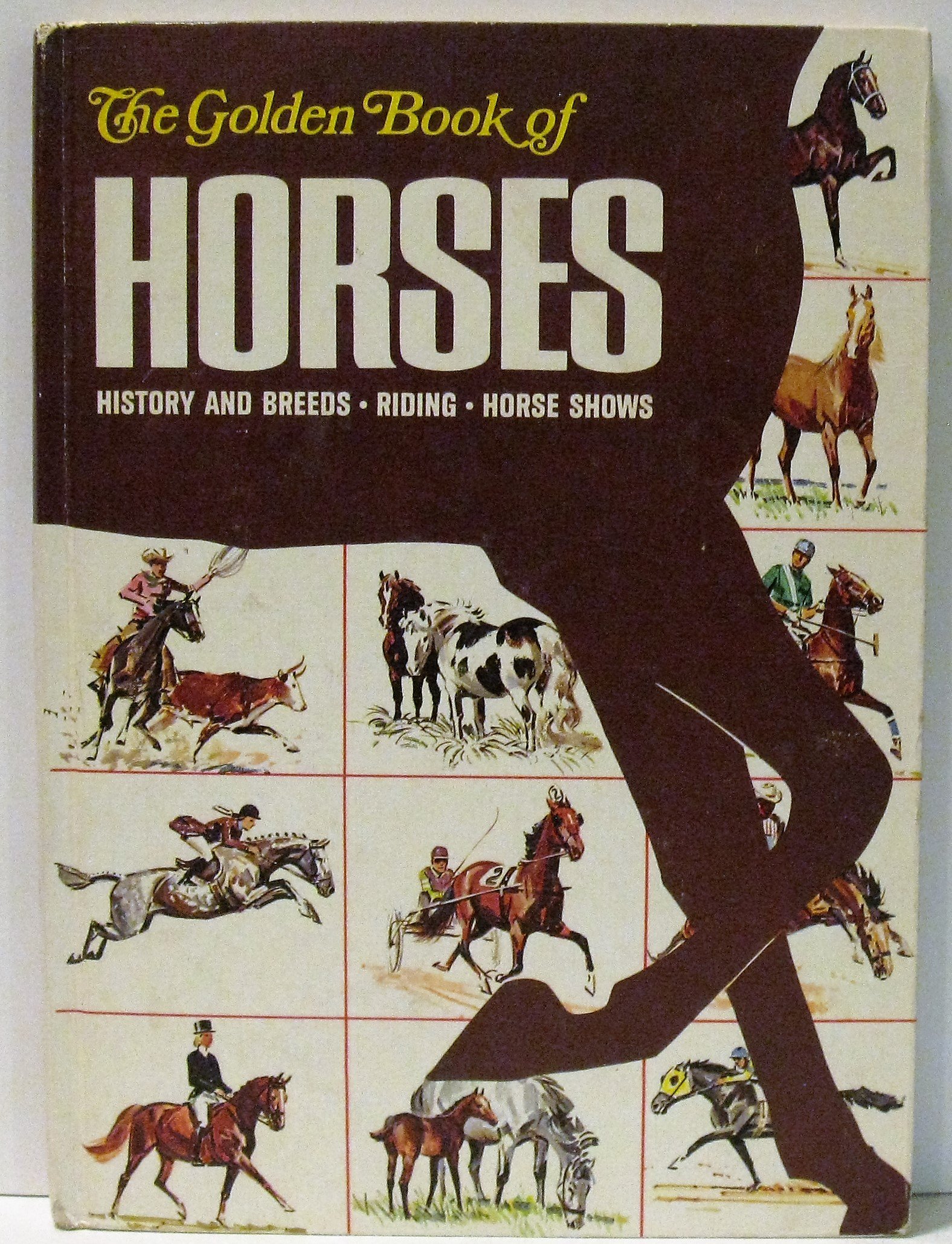 The Golden Book of Horses: George McMillan: Amazon.com: Books