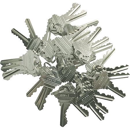 20 Pieces SC1/SC4 Compatible Precut Keys 6 Pins 5 Sets of 4 SC Keys ...