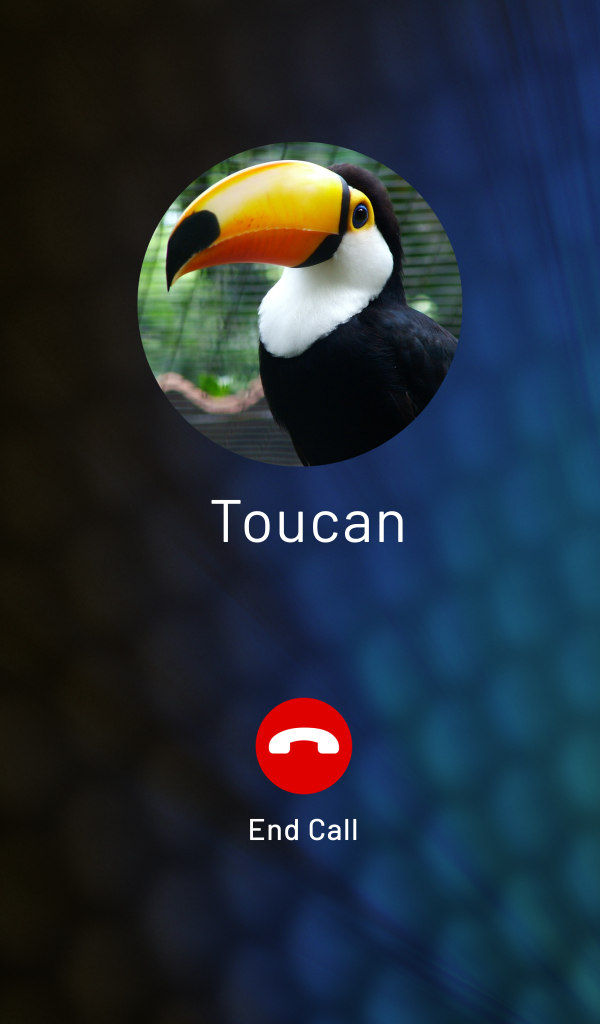 Zoo Animals Prank Call (Lion, Monkey, Tiger, Elephant, Giraffe and more ...