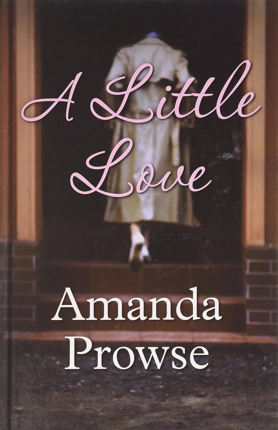 A Little Love: Prowse, Amanda: 9780750539692: Amazon.com: Books