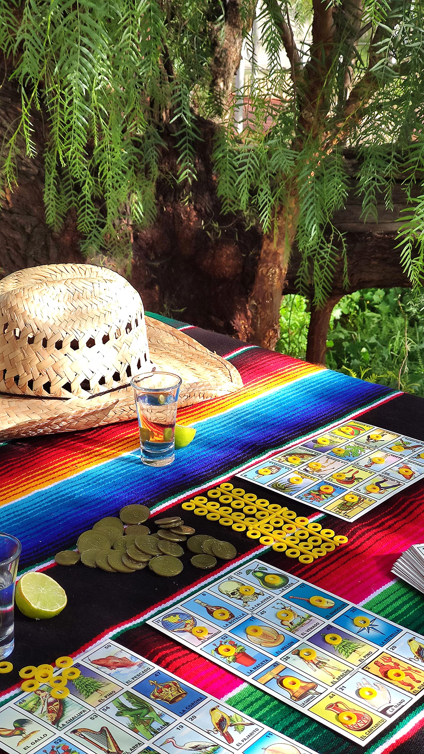 Buy Traditional La Loteria Mexican Bingo with 100 Didactic Mexican ...