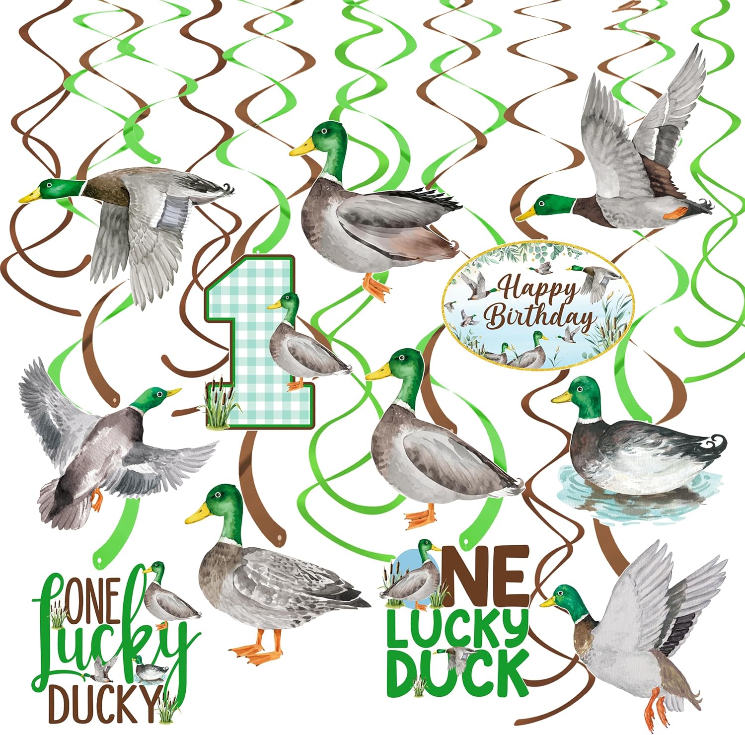 Amazon.com: Mallard Duck Party Hanging Swirls One Lucky Duck Party ...