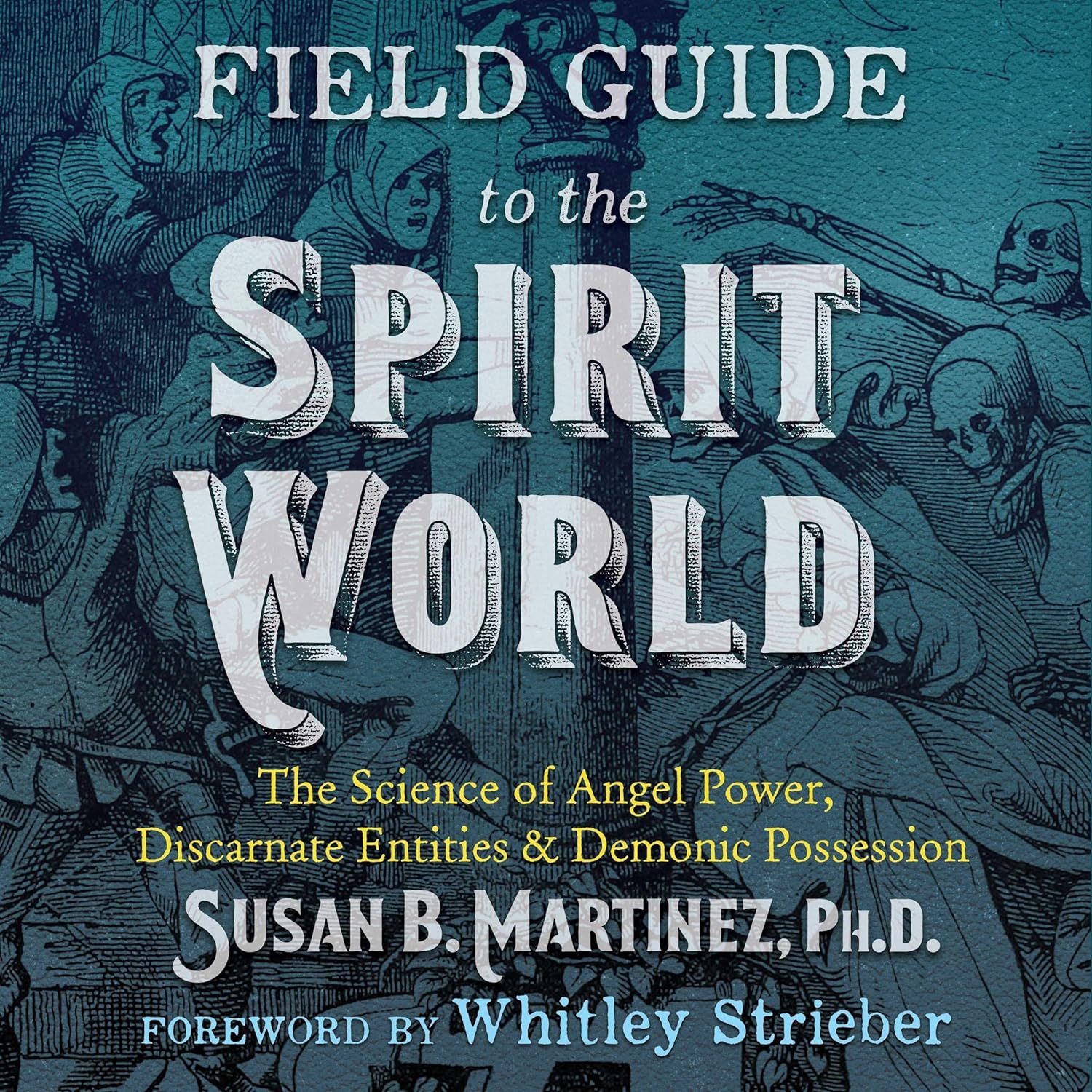 Amazon.com: Field Guide to the Spirit World: The Science of Angel Power ...