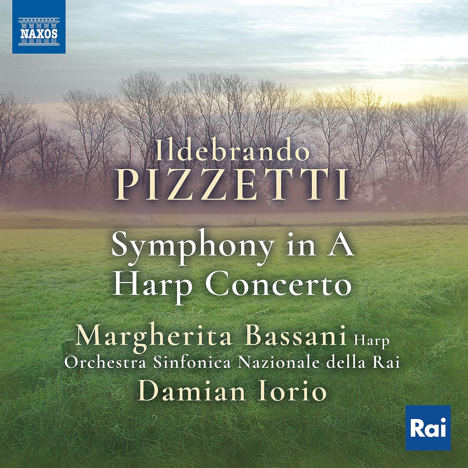 Amazon.com: Ildebrando Pizzetti: Symphony in A & Harp Concerto: CDs & Vinyl