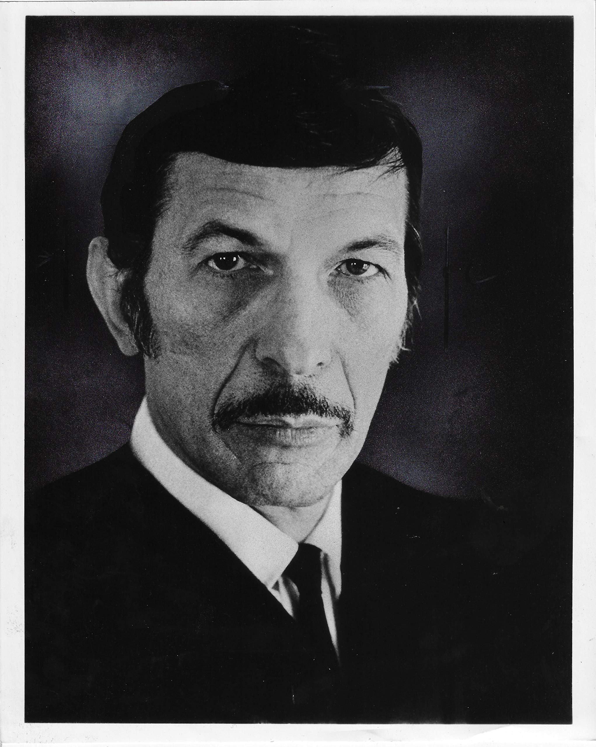 Theo Van Gogh Photograph