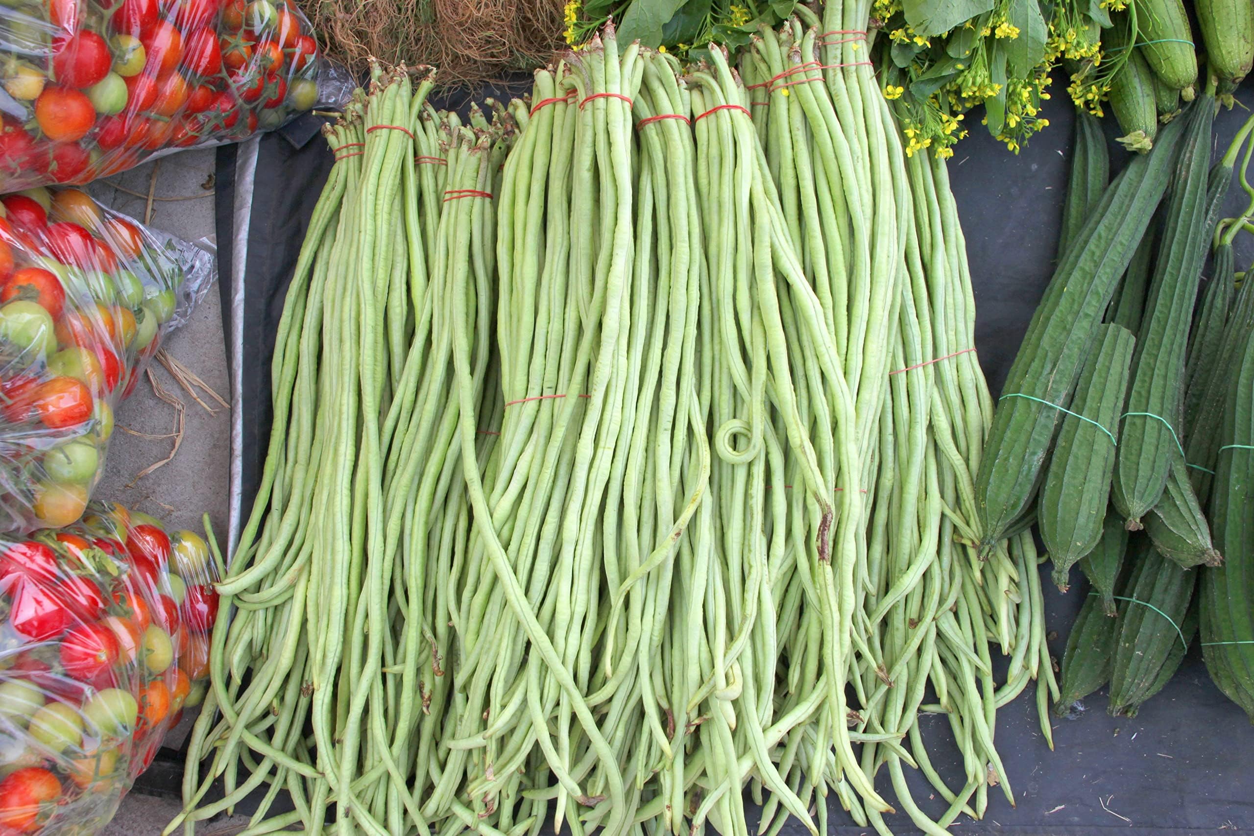 Amazon.com : Stonysoil Seed Company Asian Heirloom Yard Long Bean Seeds ...