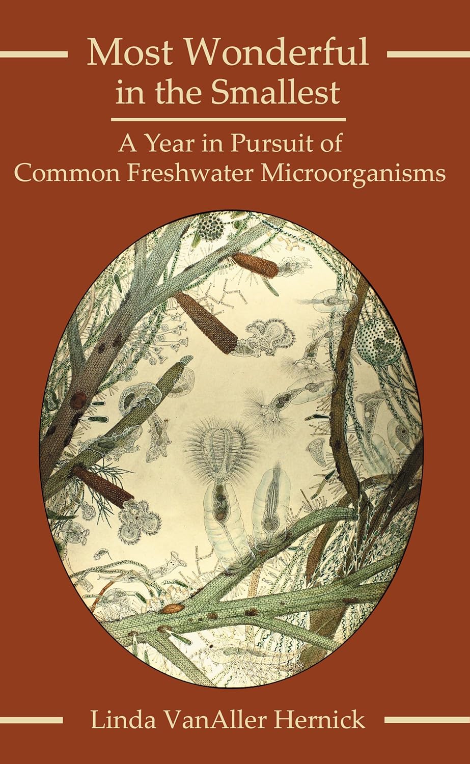Most Wonderful in the Smallest: A Year in Pursuit of Common Freshwater ...