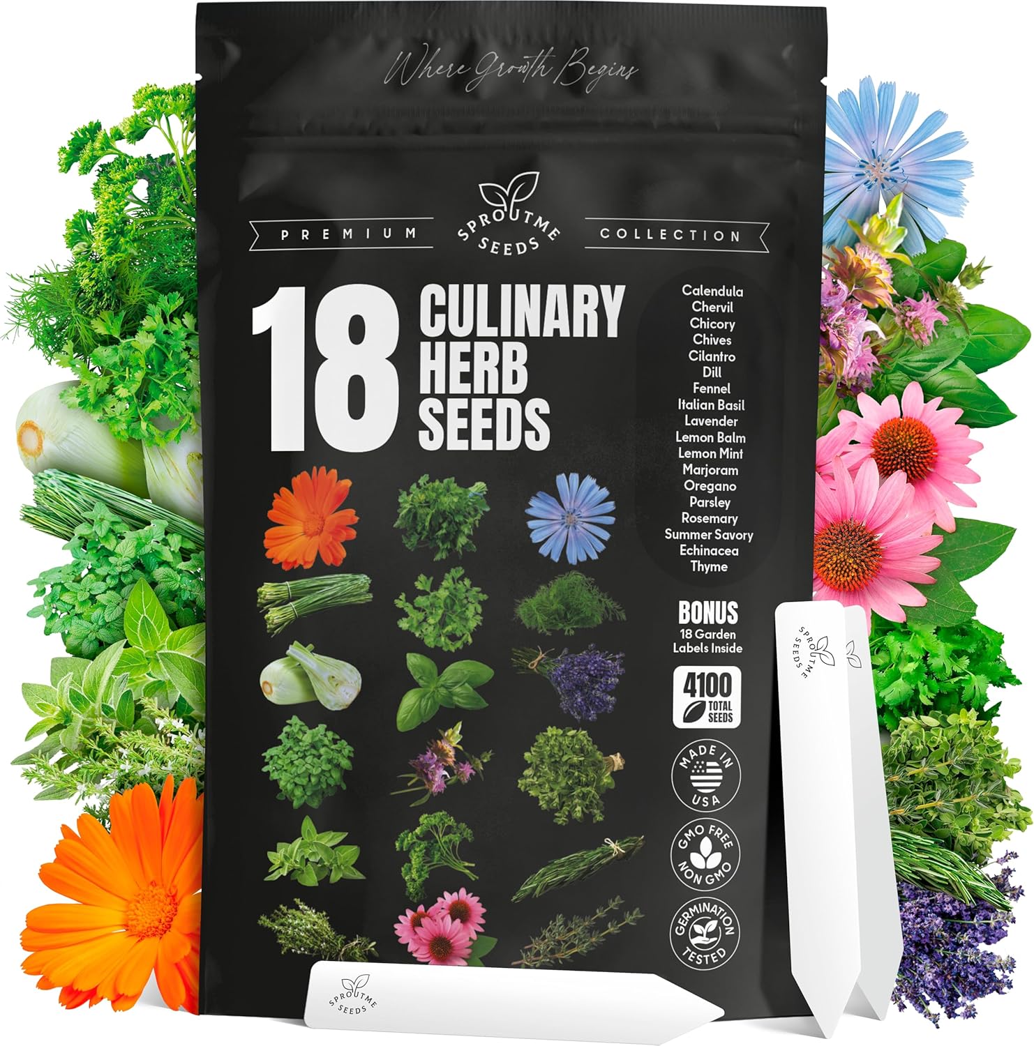 18 Culinary Seeds Variety Pack Herb Garden Starter Philippines Ubuy