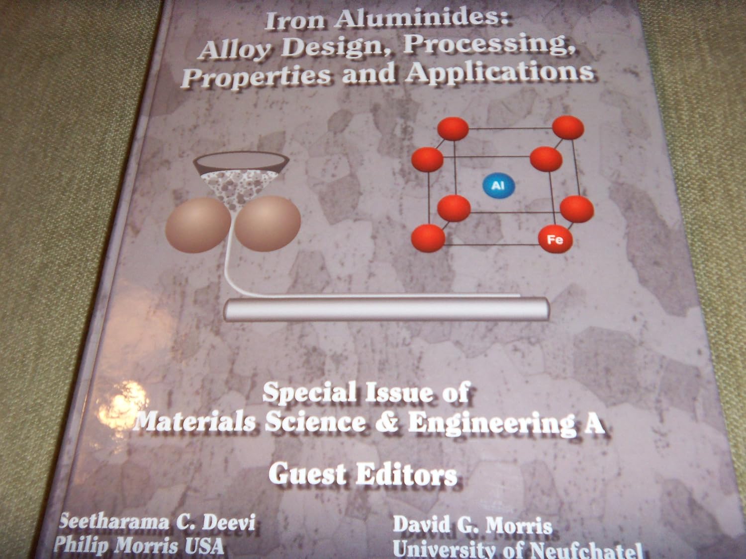 Iron Aluminides: Alloy Design, Processing, Properties and Applications ...