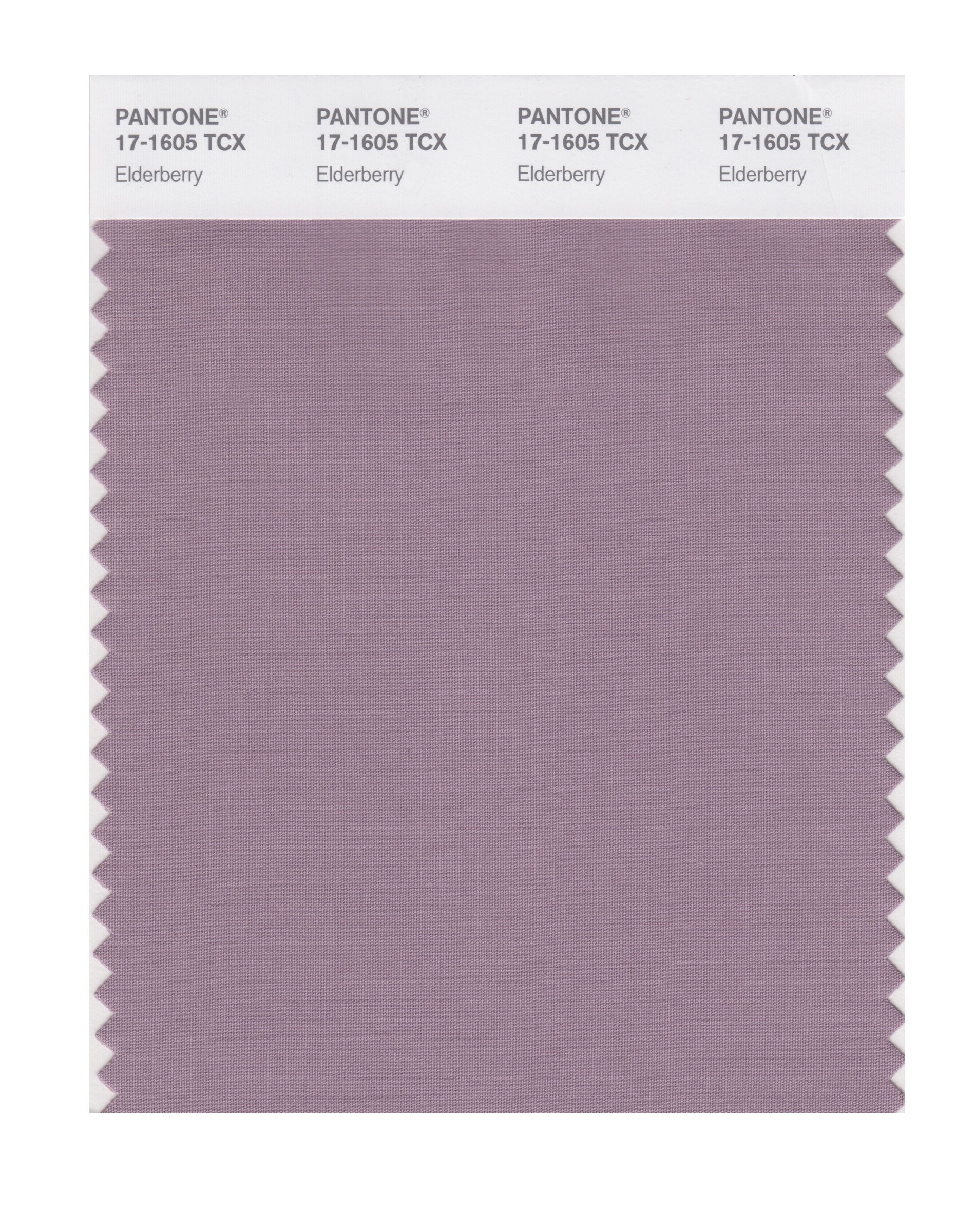 PANTONE Smart 17-1605X Color Swatch Card, Elderberry - House Paint ...