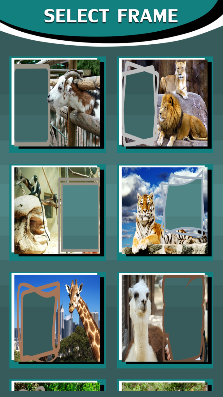 Zoo Animals Photo Frames - App on the Amazon Appstore