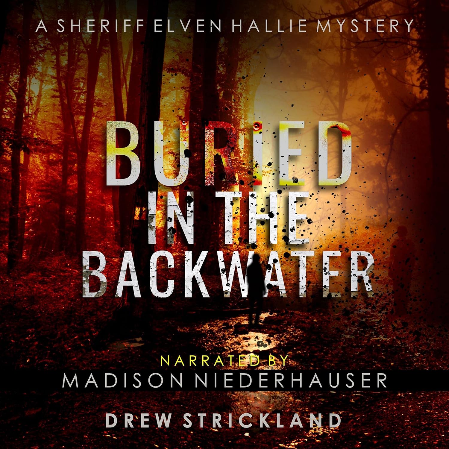 Amazon.com: Buried in the Backwater: A Sheriff Elven Hallie Mystery ...