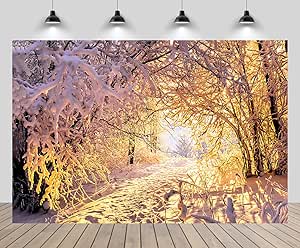 Amazon.com : CHNYWORK 7ftx5ft Winter Landscape Backdrop Winter Forest ...