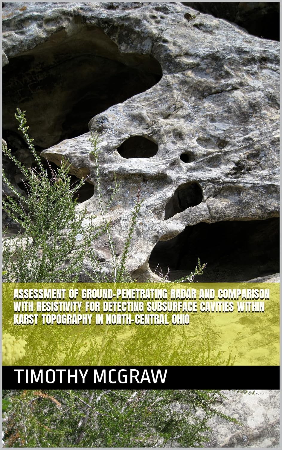 Assessment of Ground-Penetrating Radar and Comparison with Resistivity ...