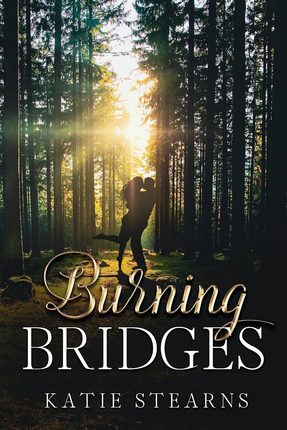 Amazon.com: Burning Bridges (Bridges Duet Book 2) eBook : Stearns ...