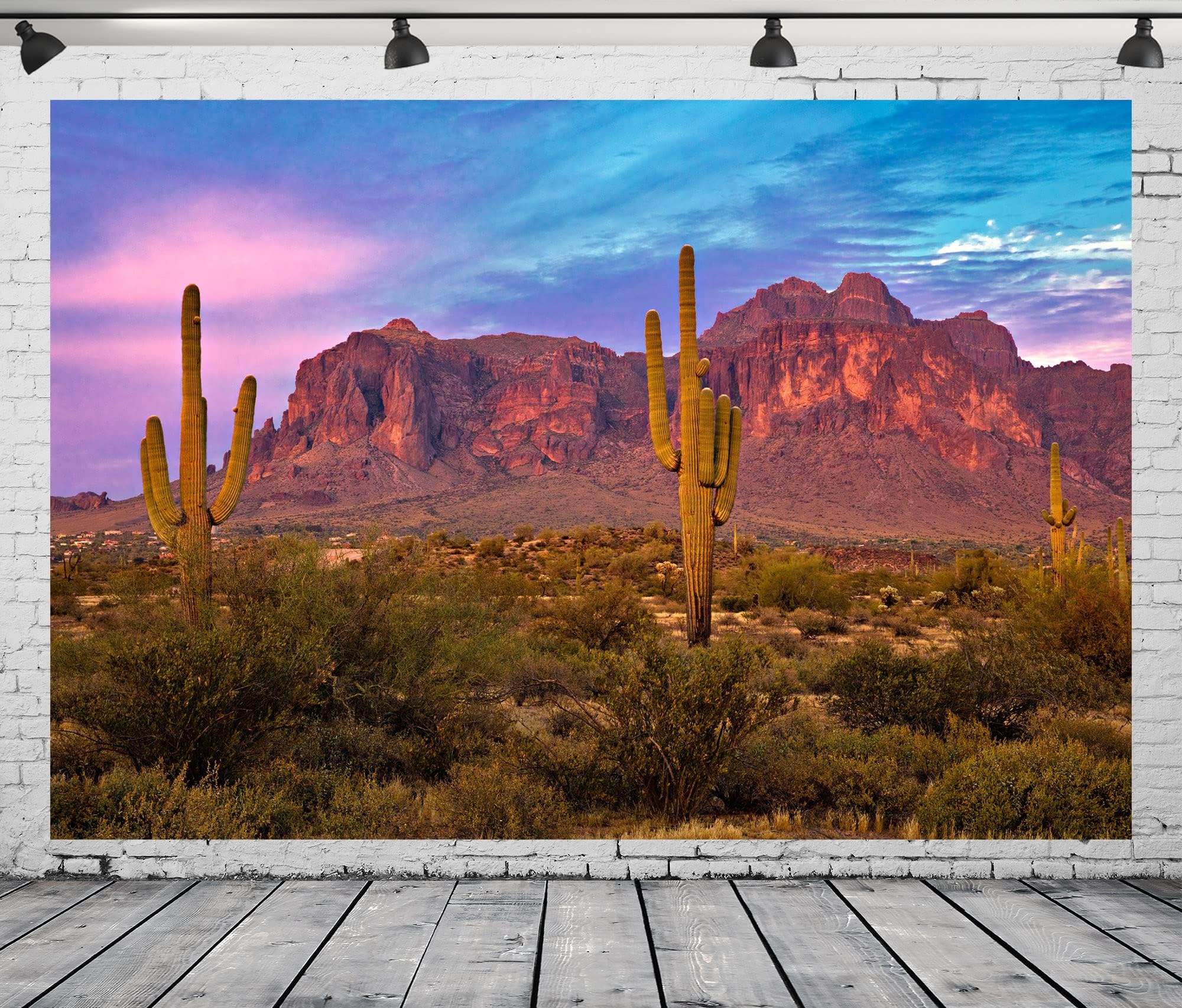 Amazon.com : BELECO 10x8ft Fabric Arizona Desert Backdrop for ...