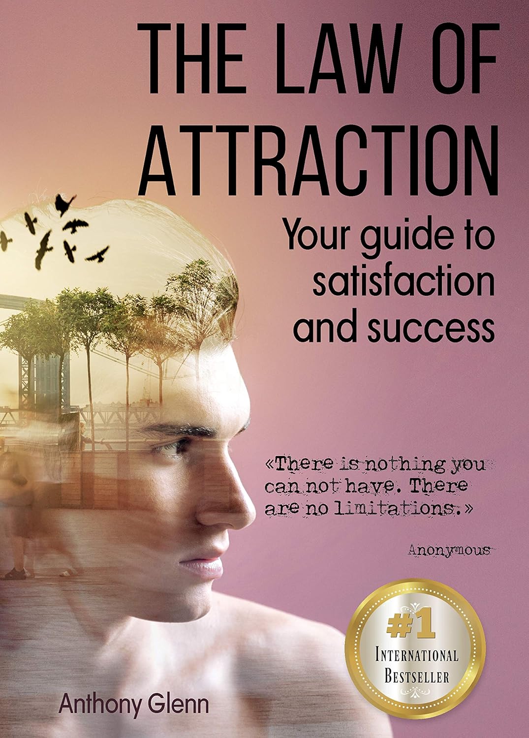 Amazon.com: The Law of Attraction: Your Guide to Satisfaction and ...