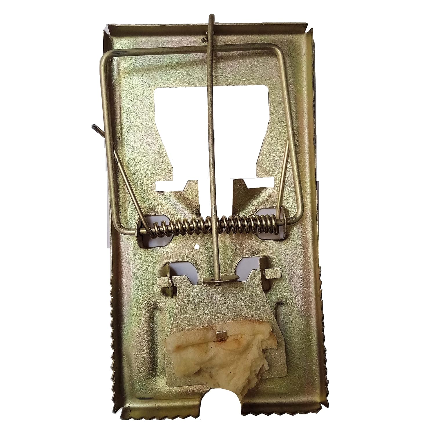 ChuheDaan Mouse-Trap Live Trap / Rat Trap / Mouse Trap / Iron Trap ...