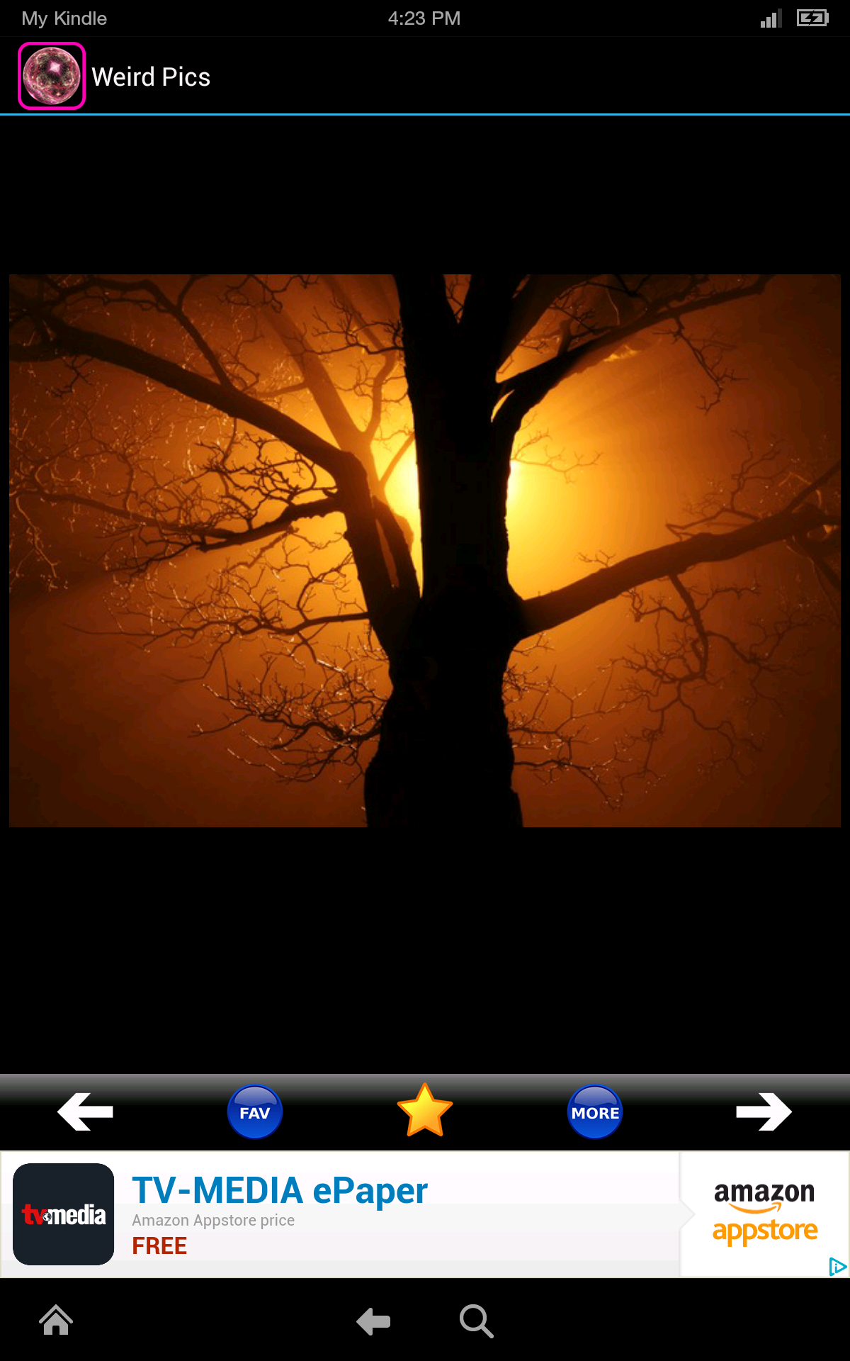 Weird Pics! Weird, Strange, Scary and Nasty Pictures & Things Used in ...