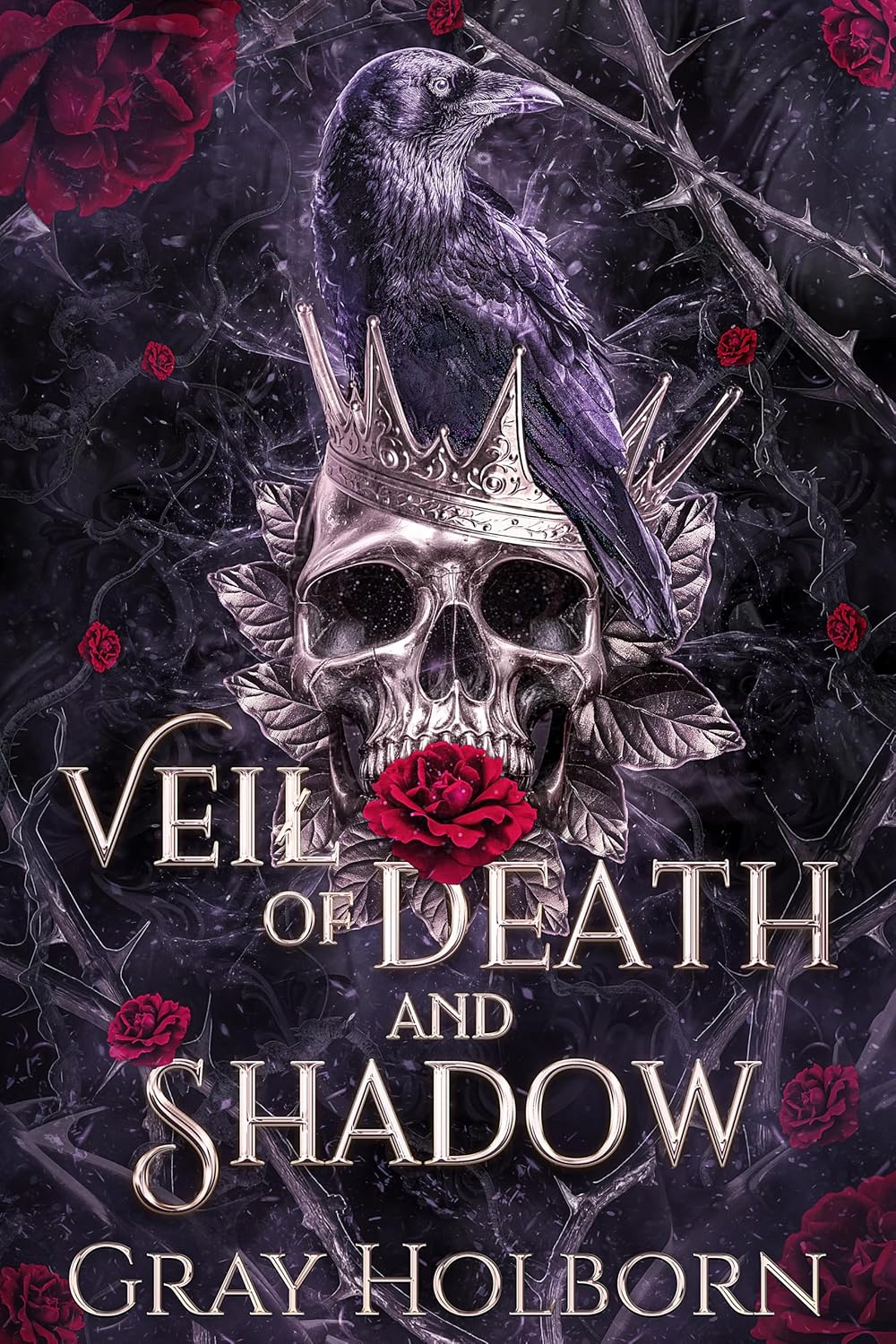 Amazon.com: Veil of Death and Shadow (Order of Reapers Book 1) eBook ...